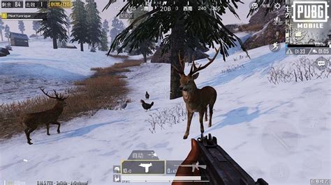 PUBG Mobile Cold Front Survival Guide Everything You Need To Know