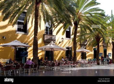 Monopol café guests sitting under palm trees Plaza Hurtado de Mendoza