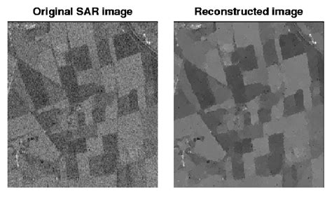 synthetic aperture radar sar image left and estimate with d 10 download scientific
