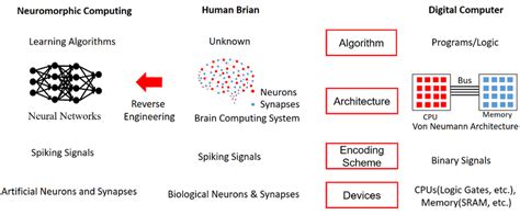 comparison between brain computing architecture von neumann computing download scientific