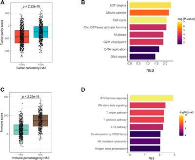 Frontiers Evaluation Of The EdgeSeq Precision Immuno Oncology Panel