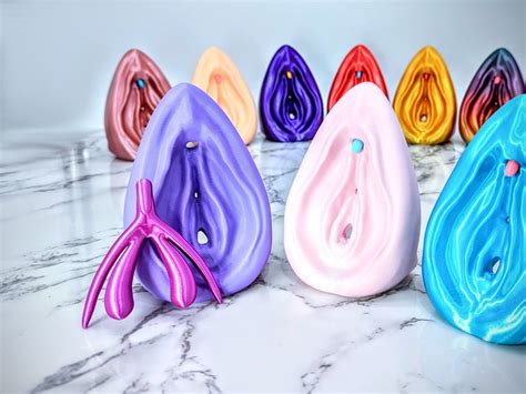 Vulva And Clitoris Model Sexual Health Education Detachable Anatomical