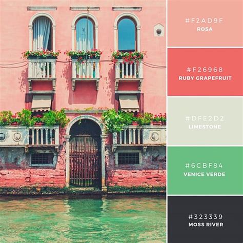 Unique And Memorable Color Palettes To Inspire You Design You Trust