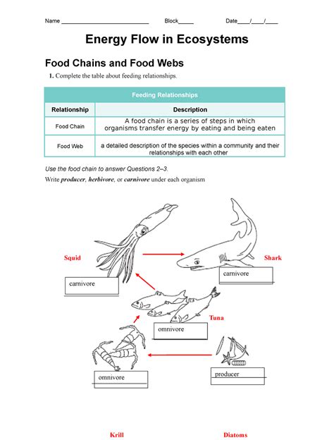 Energy Flow In Ecosystems Worksheet Name