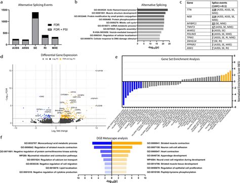Abnormal Splicing Of Sarcomeric Genes Increased Expression Of Muscle