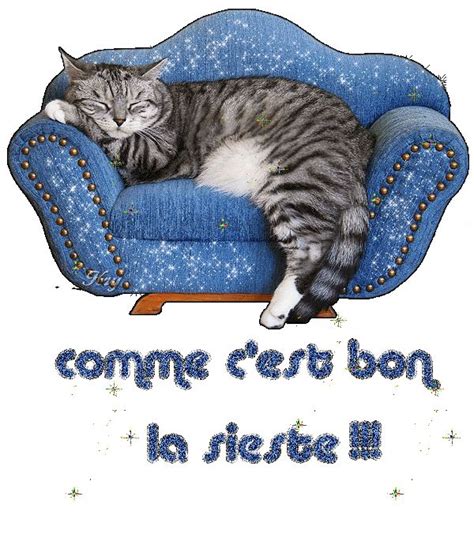 Comme C Est Bon La Sieste Chat Canap Scintillant Gratuit