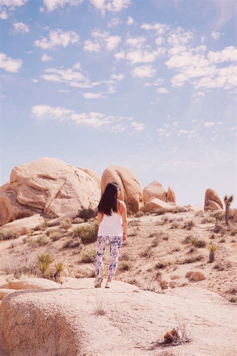 The Ultimate Joshua Tree Day Trip Guide The Perfect One Day In Joshua
