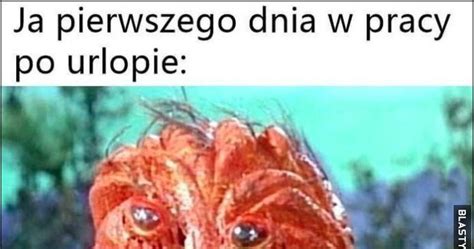 Ja pierwszego dnia w pracy po urlopie memy gify i śmieszne obrazki