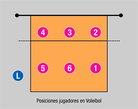 Total 38 Imagen Cuales Son Las Posiciones Del Voleibol Y Sus Funciones
