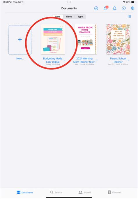 Digital Budget Planner For IPad