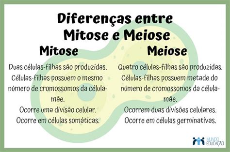 Mitose e meiose diferenças tabela comparativa e exercícios