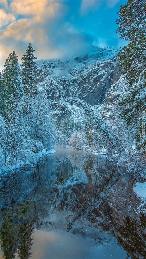 Ośnieżone drzewa nad rzeką Merced River Tapeta na telefon