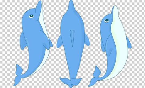 Descarga gratis Dibujos animados de delfines lindo y pequeño delfín
