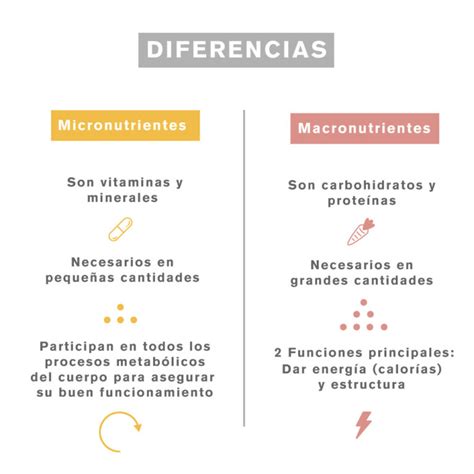 Cuadro Comparativo De Los Macronutrientes Y Micronutrientes Hot Sex