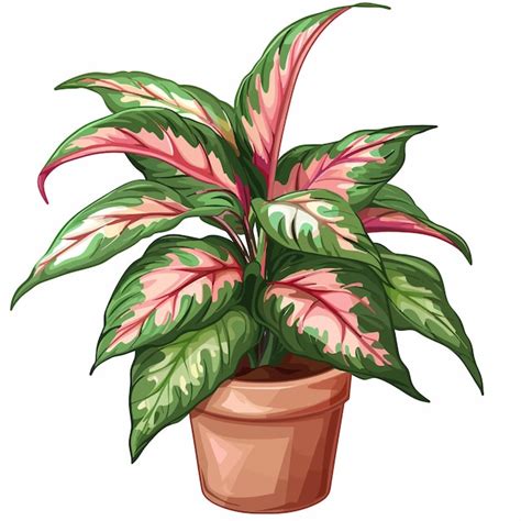 Um Desenho De Uma Planta Uma Planta Em Vaso Vetor Premium