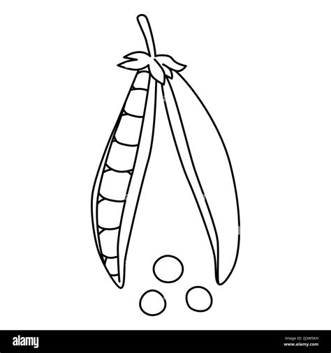 Peas Clip Art Black And White