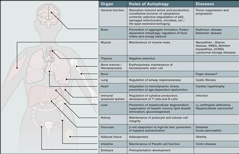 Pathologic Processes Semantic Scholar
