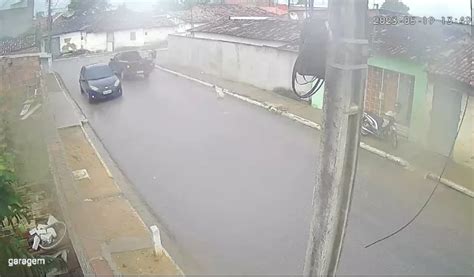 Motorista Atropela Cachorro E Foge Sem Prestar Socorro Em Arapiraca
