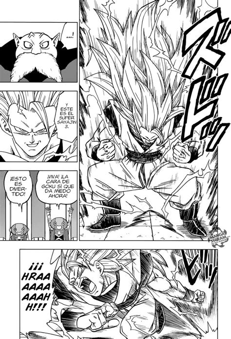 Ver Dragon Ball Super Manga 29 Español Completo Online Dragones