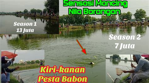 Kiri Kanan Pesta Strike Babon Lomba Mancing Nila Babon Marunda Empang