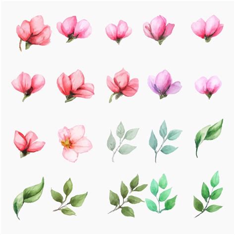 Lindo conjunto de buquê de flores em aquarela e folhas elementos
