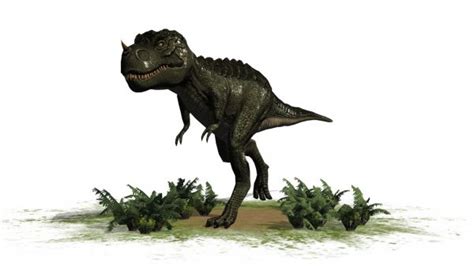 Tyrannosaurus Rex Dinosaur Photorealistic Representation Stock