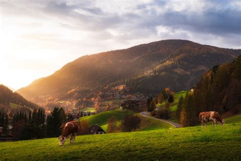 Stampe Artistiche Quadri E Poster Con Alpi Austria Autunno Carinzia
