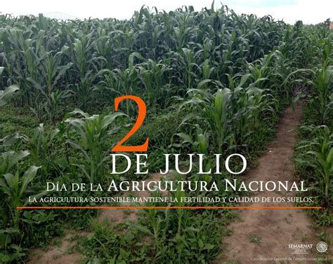 De Julio Que Se Celebra De Julio Todo Lo Que Debes Saber Sobre