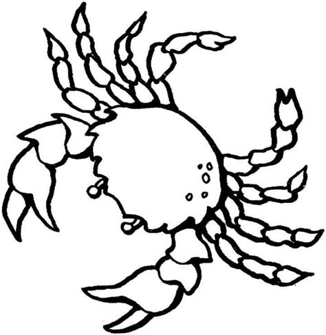 Cangrejo Fácil para colorear imprimir e dibujar ColoringOnly
