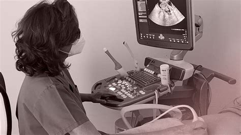Cuáles son las causas del aborto de repetición