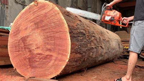 Amazing Sawmill Wood Cutting Biggest Tree Wood Processing Factory