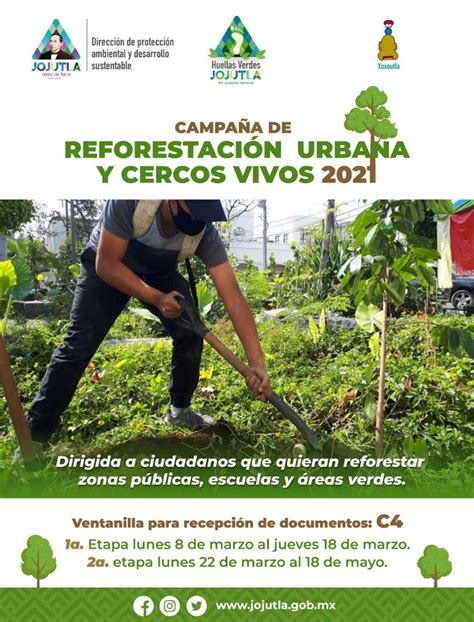 Vigente programa de reforestación en Jojutla Grupos organizados