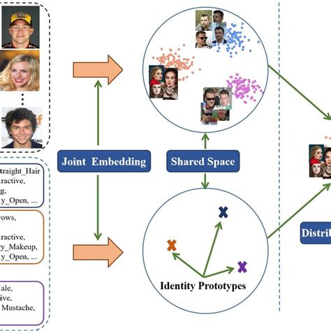 the visualization of class activation maps and the attribute attention download scientific