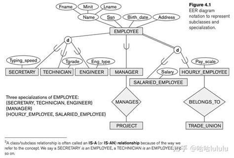 Database System Conceptual Data Modeling Er Eer Uml