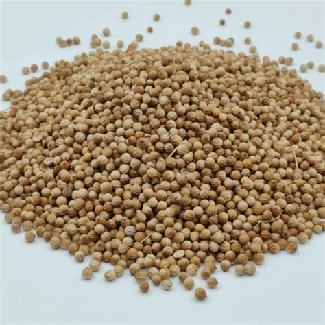 Coriandre BIO En Vrac Pour Infusion Herboristerie Sammut
