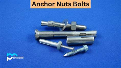 What Is Anchor Nut Bolt Types And Uses