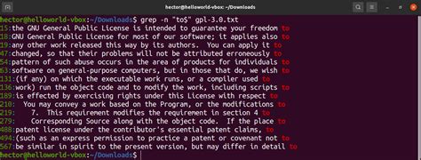 Linux How To Find Text In File Posetke