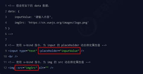 vue2第二节：vue 基础入门（vue的基本使用，调试工具，vue的指令） vue 调试命令 csdn博客