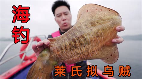 包快艇出海钓莱氏拟乌贼拉上来直接刺身全程惊喜连连小文哥吃吃吃 YouTube