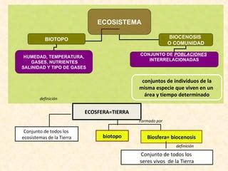 Relaciones Ecosistema PPT