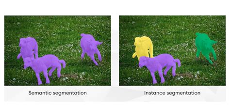 Complete Guide To Semantic Segmentation Superannotate