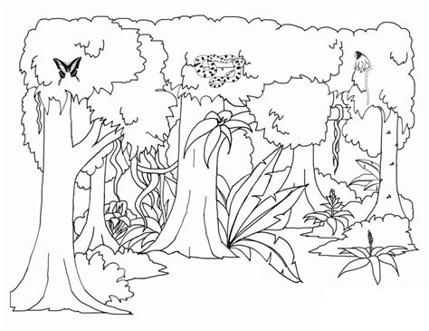 Desenhos De Floresta Amaz Nica Para Colorir Imprimir E Pintar Colorir Me