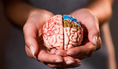 Atención neuropsicológica a personas que han sufrido un daño cerebral