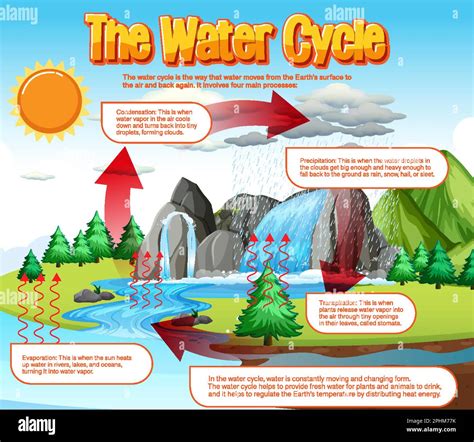 The Water Cycle Diagram For Science Education Illustration Stock Vector