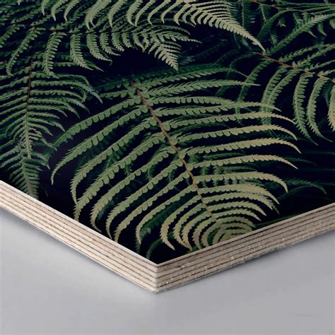 Hexagon Holz Birke Furnier Farn Wall Art De