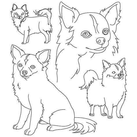 Long Haired Chihuahua Sketch Svg Dxf Cutting Machine And Laser Cutting Designs Craft Genesis
