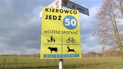 Absurdy drogowe w Polsce Kto to wymyślił Zobacz bo w to nie