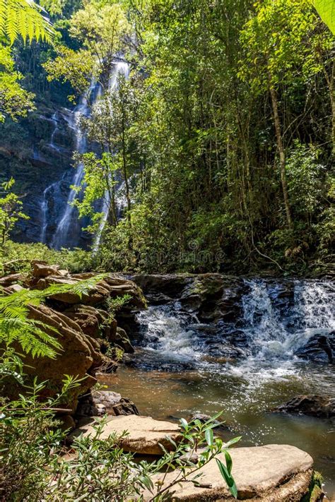 River And Waterfall Through Dense Rainforest Vegetation Stock Image