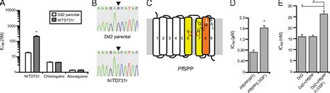 Targeting The ERAD Pathway Via Inhibition Of Signal Peptide Peptidase