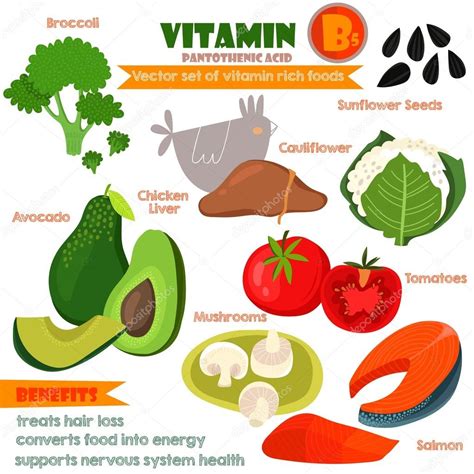 Vitaminas Y Minerales Alimentos Set Ilustrador 9 Vector Conjunto De